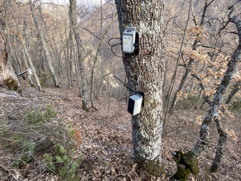 SINCZONE OBSERVATORY – ECO HYDROLOGY LAB